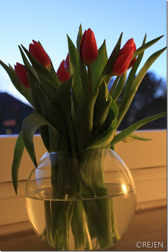 Jeg trængte til… | REJENS BLOG